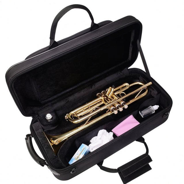 Waterproof and fall-proof small musical instrument bag trolley box ...