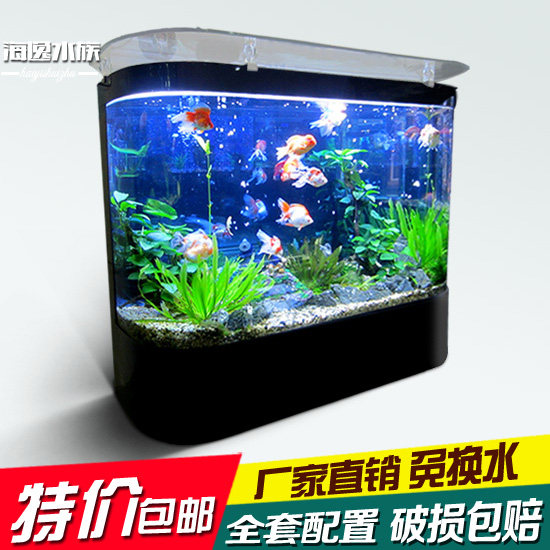 Large curved wall-mounted fish tank with rounded corners, glass fish ...