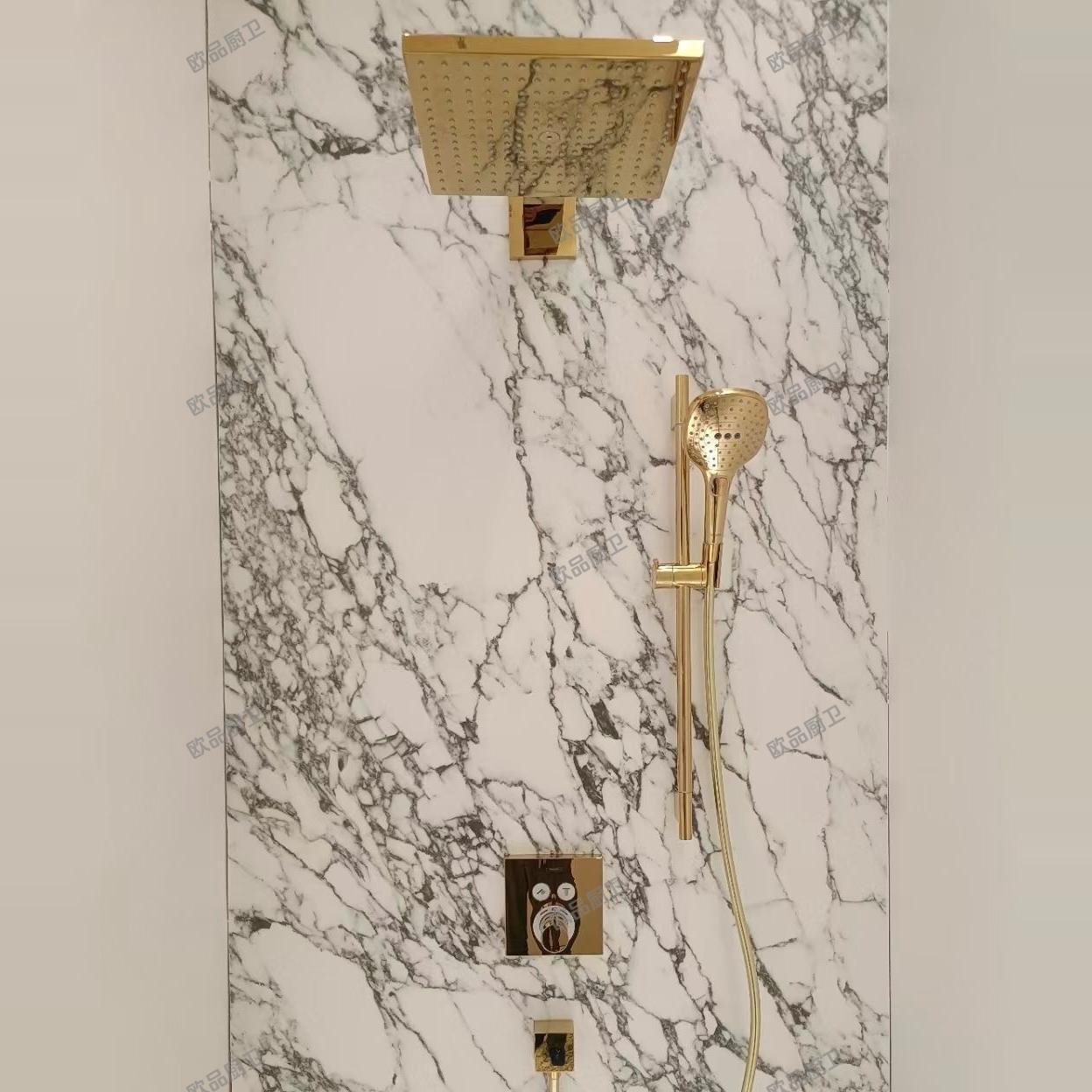 汉斯格雅飞雨E300暗装花洒淋浴26239007 26239997黑色金色-淘宝网