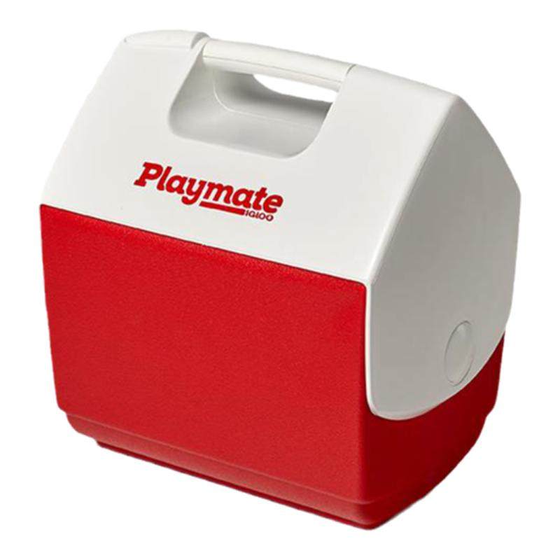 Igloo Insulated Box Refrigerator - Ice Cube Keeping Cold and Fresh ...