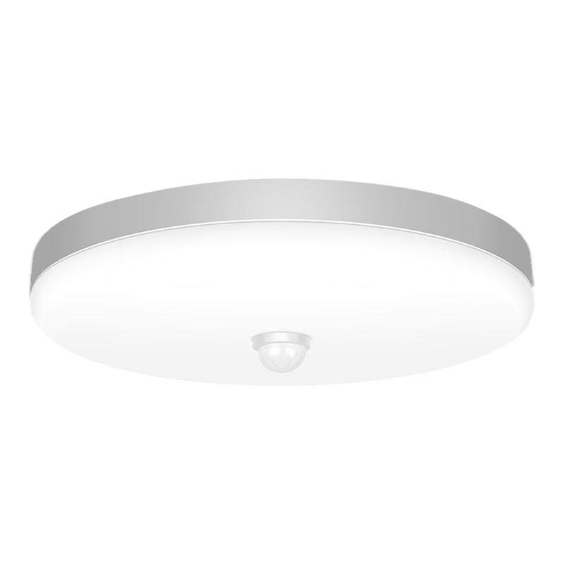 Radar Human Body Infrared Induction Ceiling Lamp - Intelligent ...