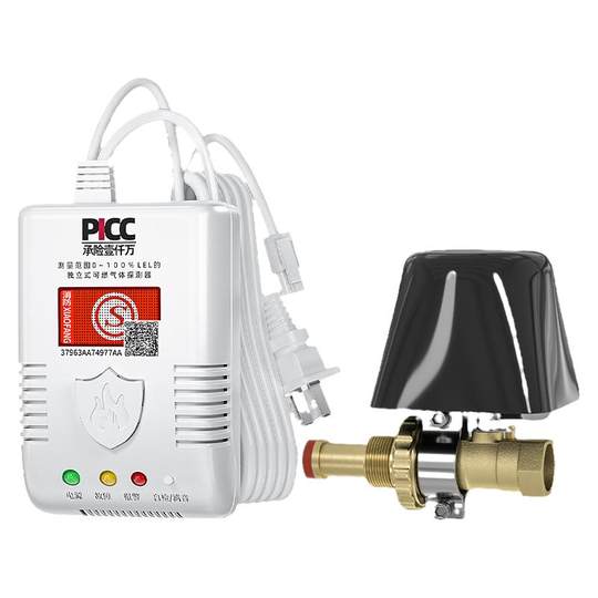 Gas Alarm Device for Commercial Kitchen and Restaurant Safety