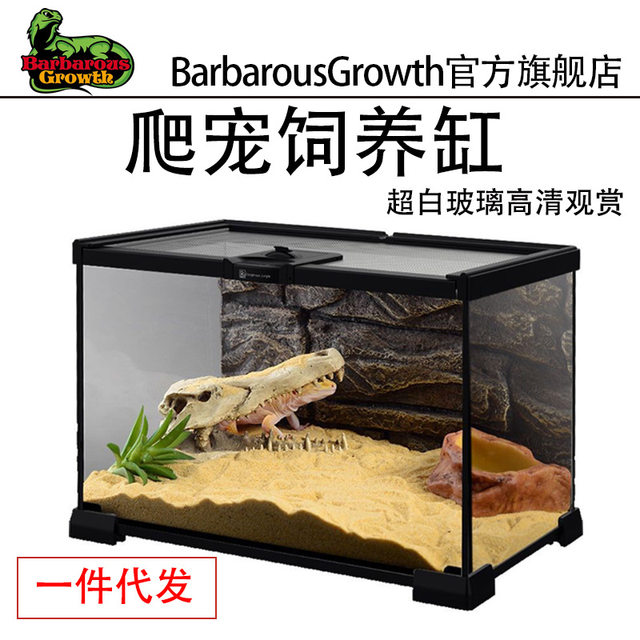 Reptile pet glass tank stackable lizard gecko beetle spider feeding ...