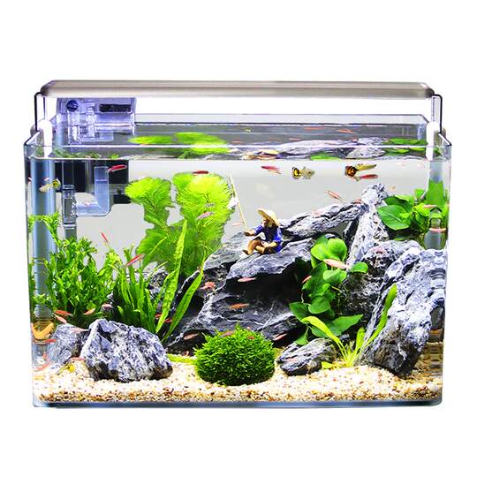 Curved Fish Tank Living Room Desktop Glass Ecological Fish Tank - High ...