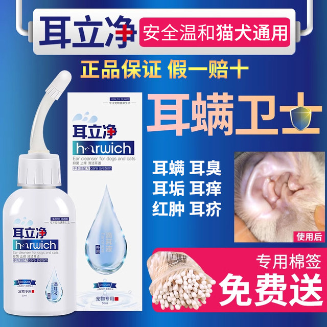 Dog's ear mittoed ear drops teddy cats with ear mittoed dog drop ear ...