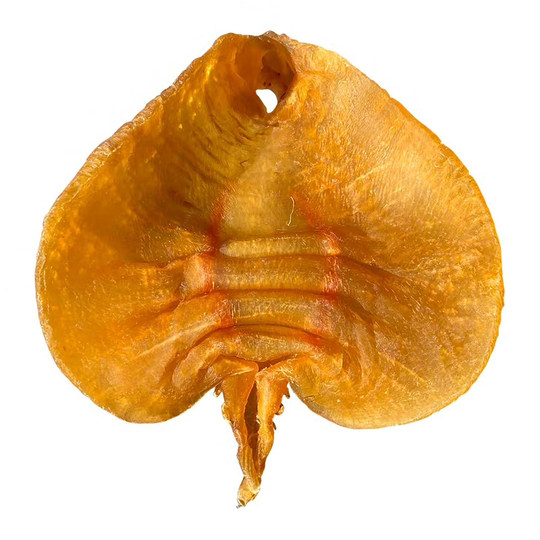 Deep-Sea Wild Red-Mouthed Fish Maw - Confinement Nourishing Dry Goods ...