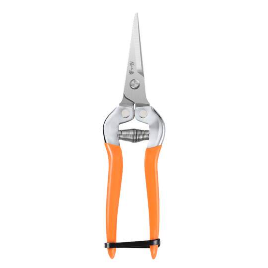 Zhang Xiaoquan Fruit Thinning Bonsai Flower Branch Scissors