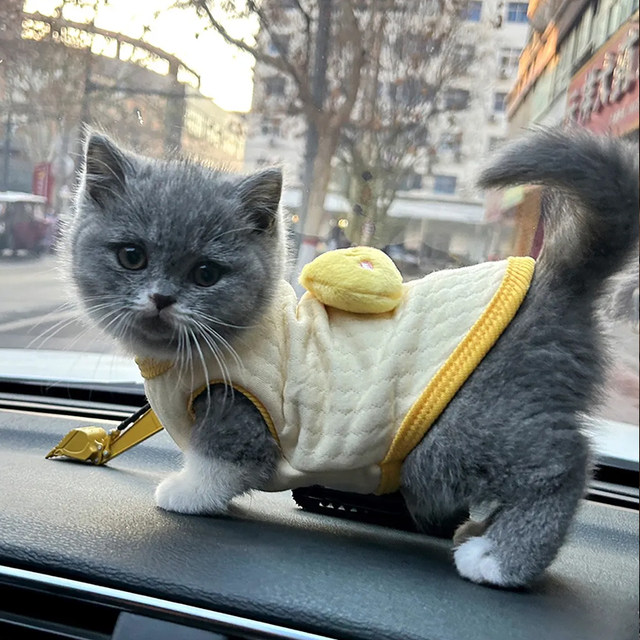 Small vest for cats and dogs, cat clothes, kitten pajamas, pet dog ...