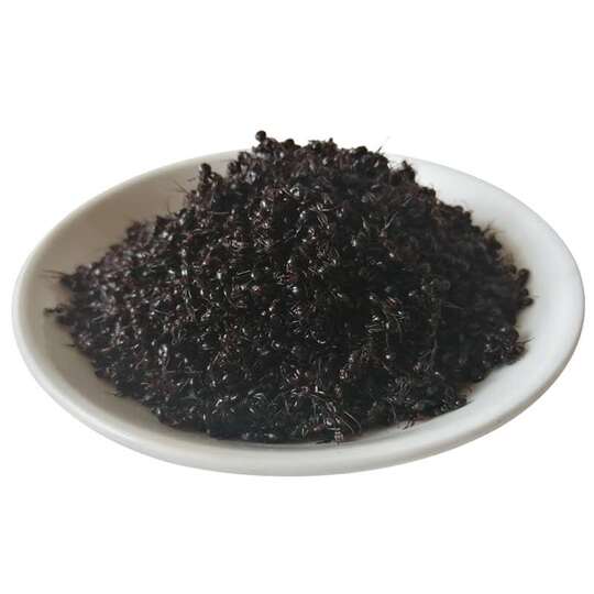Semut Hitam Kering - 250g Yichun Tiongkok Timur Laut - Dapat Dimakan ...