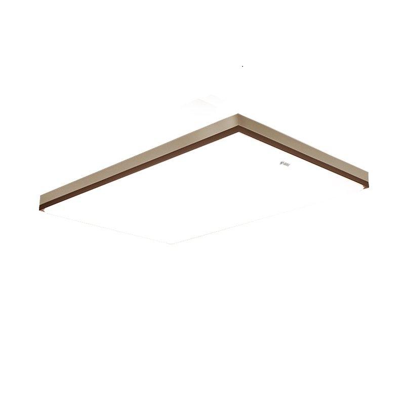Bull LED Rectangular Ceiling Light - Modern Living Room Lighting