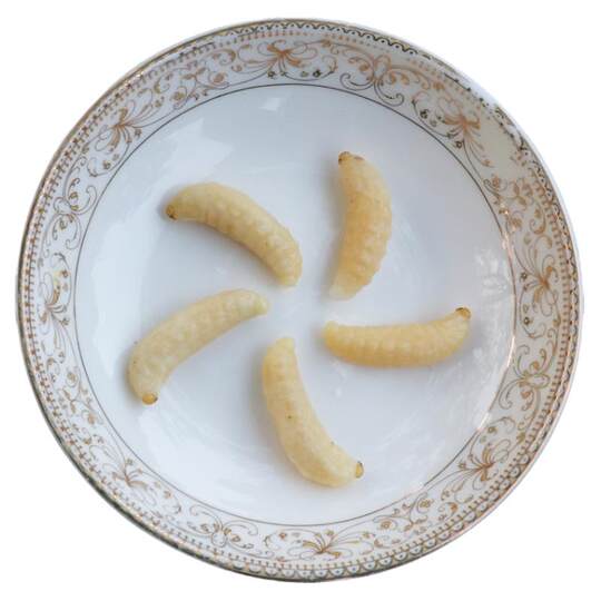 Η queen bee pupa είναι μεγαλύτερη και παχουλή bee pupa fresh wild 500g ...