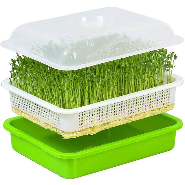 Bean sprouts germination pot sprouts vegetable seedling tray soilless ...