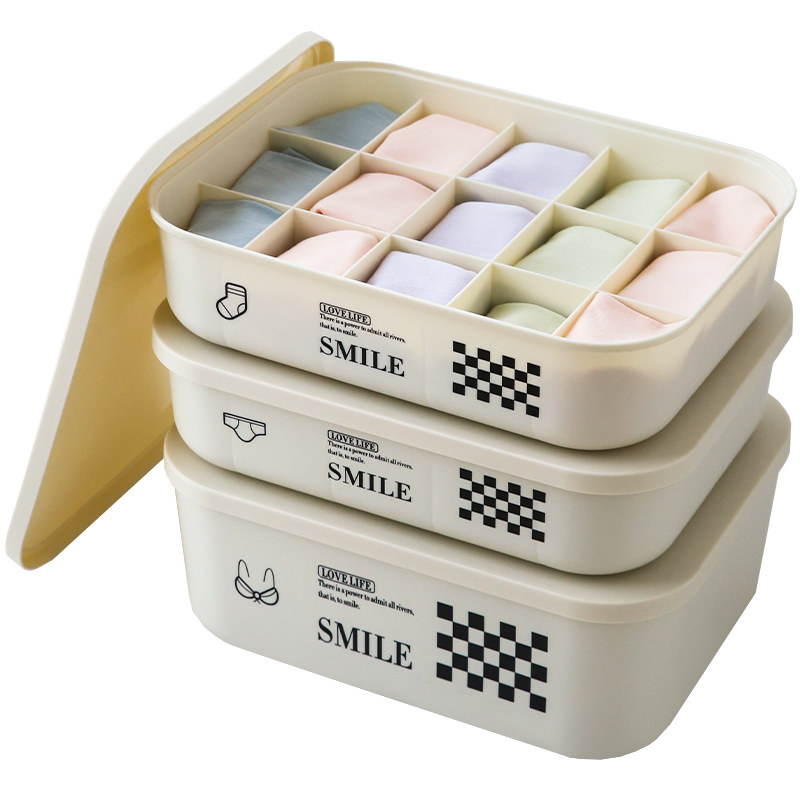 Nordic Style Underwear Storage Box - Bra & Pantyhose Organizer