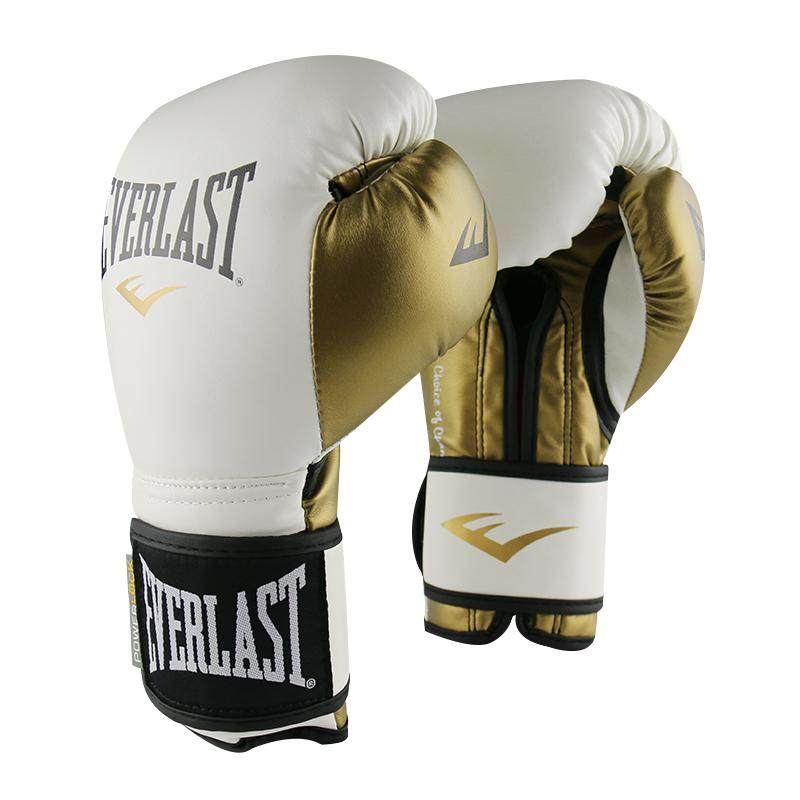 Everlast Boxing Gloves for Men and Women | Professional Fighting ...