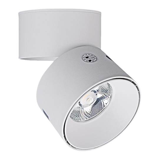 Lampe de croissance légère de remplissage de plantes à spectre complet ...