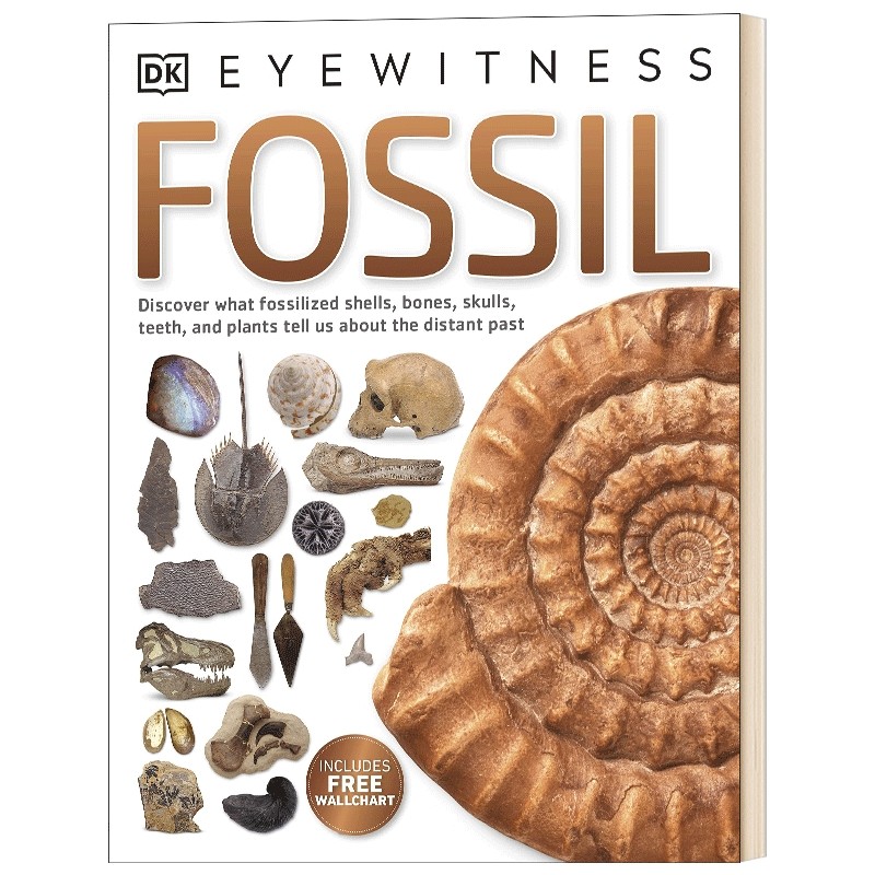 English Original DK Eyewitness Fossil Book - Explore the History of ...