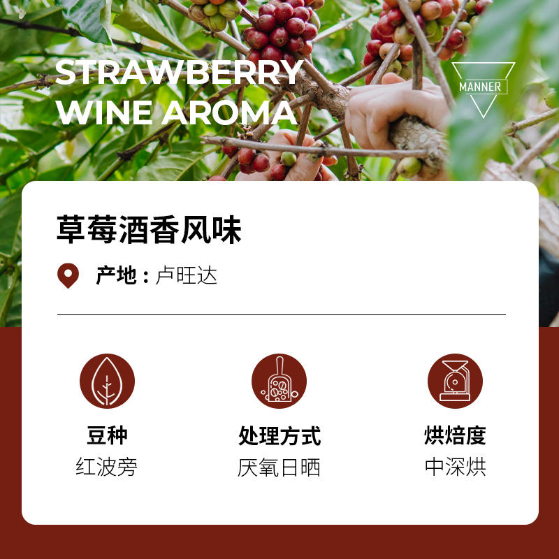 Manner草莓酒香风味中深度烘焙精品卢旺达SOE咖啡豆250g旗舰店-淘宝网