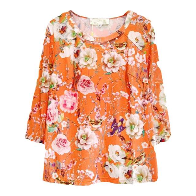 Philip spring and summer new foreign shirt base top top, Taiwan net ...