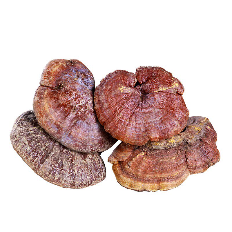 Tibetan Wild Ganoderma Lucidum Tea Whole Branch 200g - Baixin ...