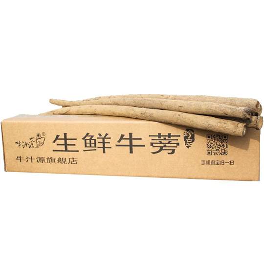 Fresh Burdock Root Juice - Chinese Herbal Medicine Slices