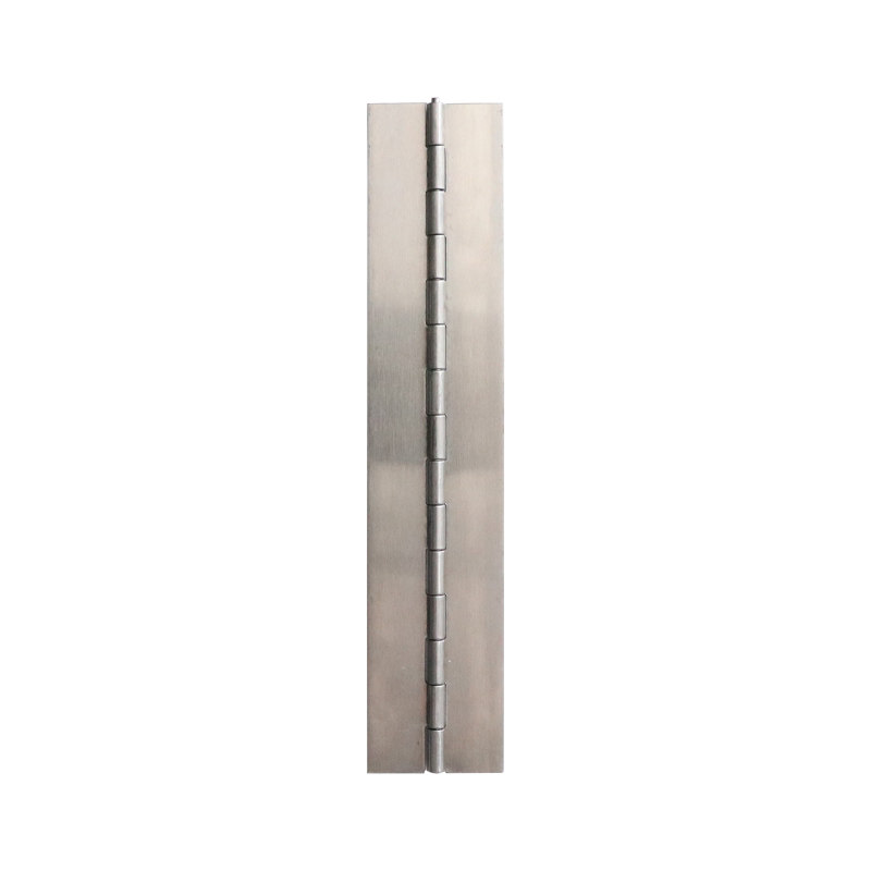 Nine Loves 304 Stainless Steel Long Strip Hinge - Black/Gold Finish