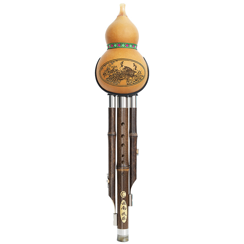 Zizhu Hulusi - C Key 7-Hole Chinese Reed Instrument - Beginner to ...