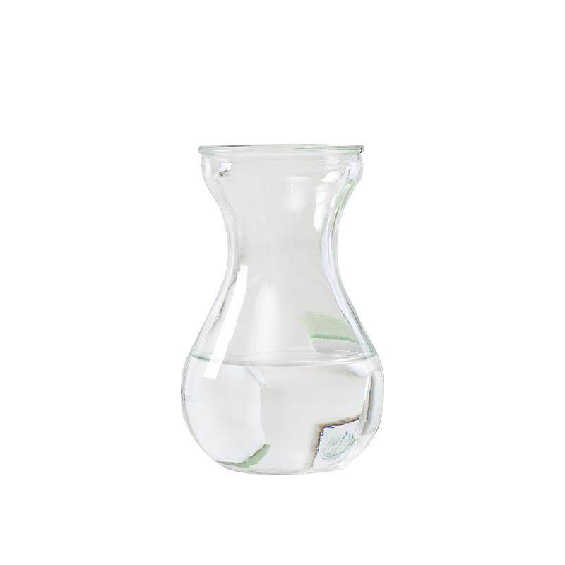 Nice 18 Dragon Egg Glass Vase - Desktop Hydroponic & Floral Arrangement