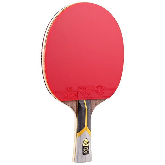 Authentic Friendship 729 Table Tennis Racket - Gold Label Star Athletic ...