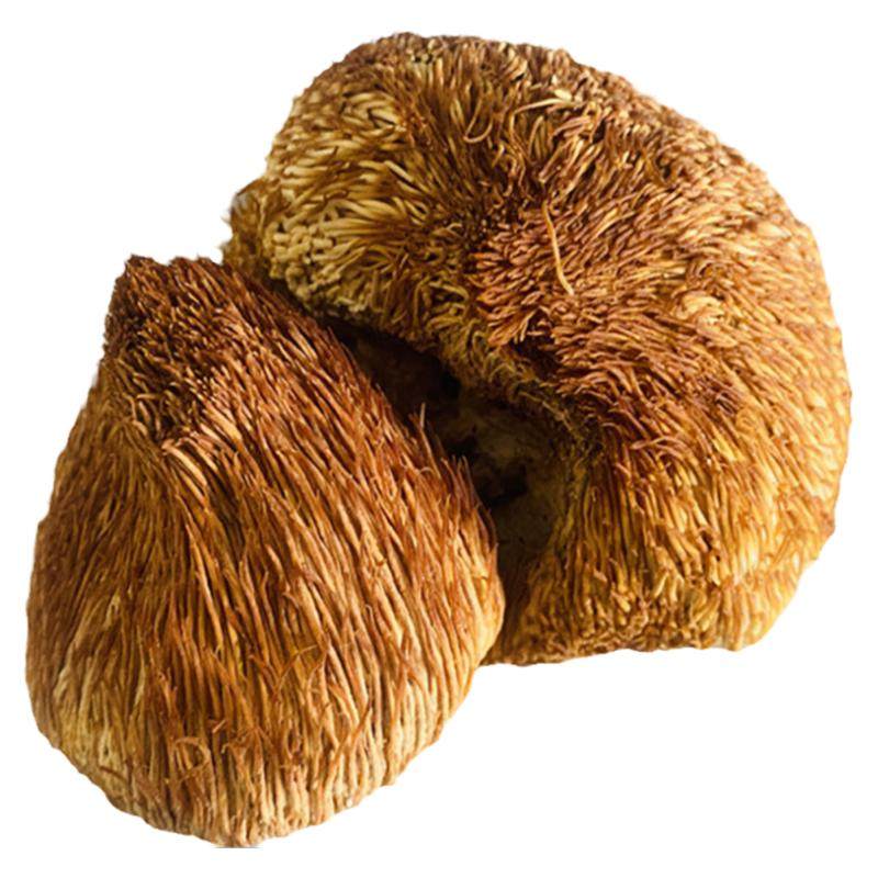 Dried Monkey Erectus Mushroom - 250g - Jilin Province