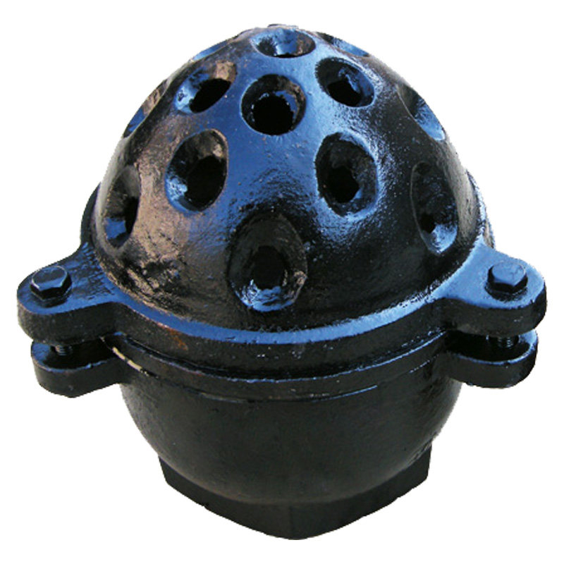 Pump Bottom Valve Check Valve Shower Head Internal Thread Suction ...