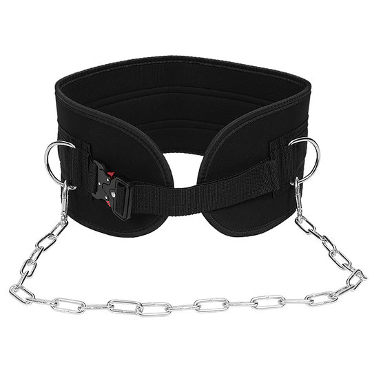 Pull-Up Weight-Bearing Belt - Professional Iron Chain Waist Weight ...