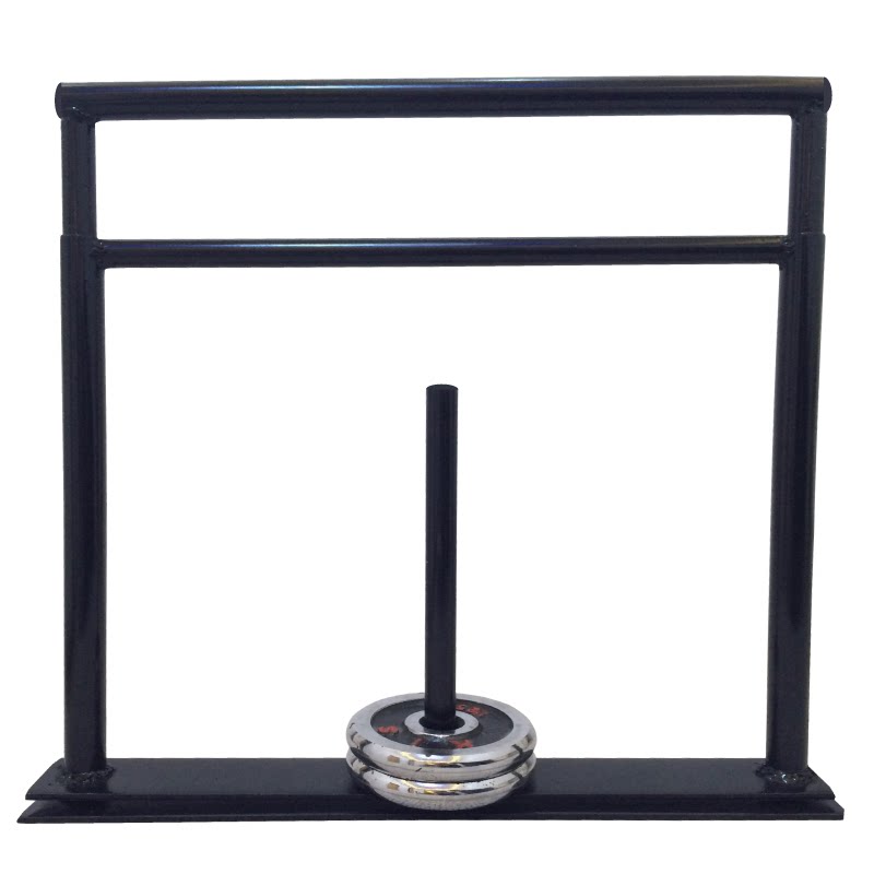 Bruce Lee Grip Strength Trainer | Professional Forearm Muscle Exercise ...