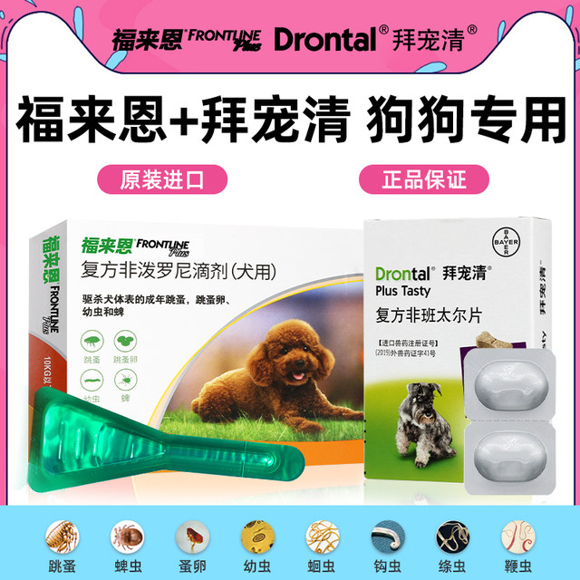 Bayer Dog worshiped the inner body of deworming medicine, blessing, and ...