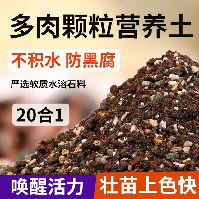 Succulent nutrient soil special granular soil special soil for ...