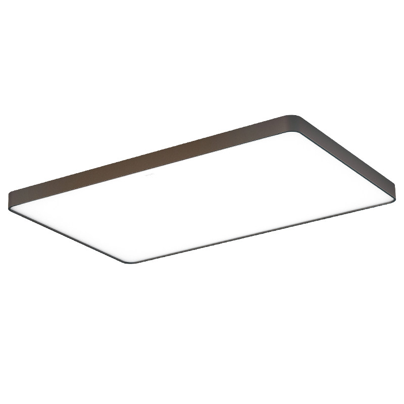 Philips LED Ceiling Light - Modern Rectangular Acrylic Lamp