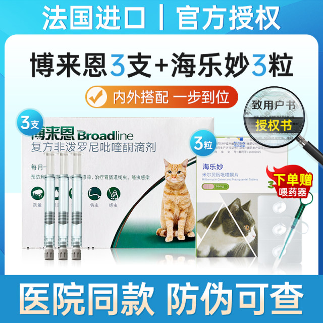 Bryan cat deworming and inner body inner and outside the body of the ...