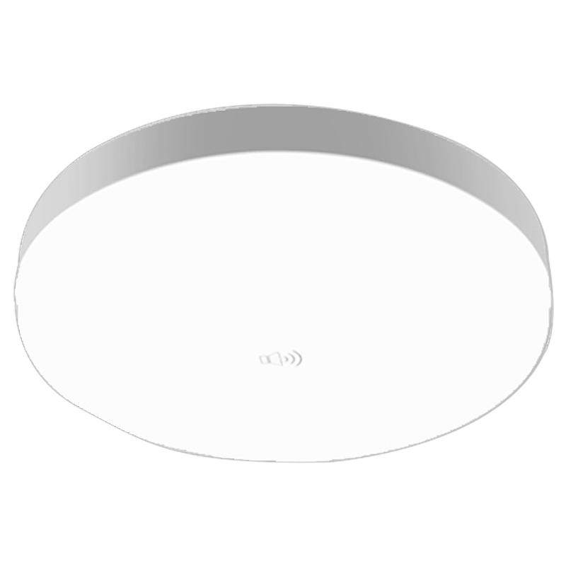 Human Body Induction Ceiling Lamp LED Modern Minimalist Smart Corridor ...