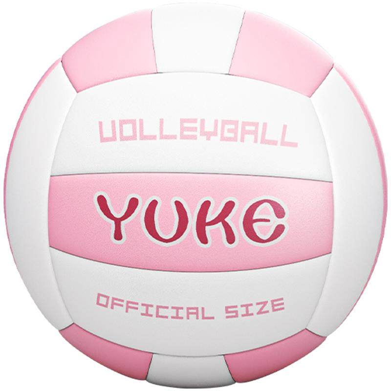 Badminton Volleyball for Students - Genuine Competition Training ...