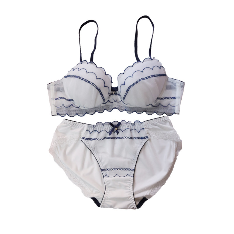 Japanese Embroidered Mesh Bra Set - Sweet & Comfortable