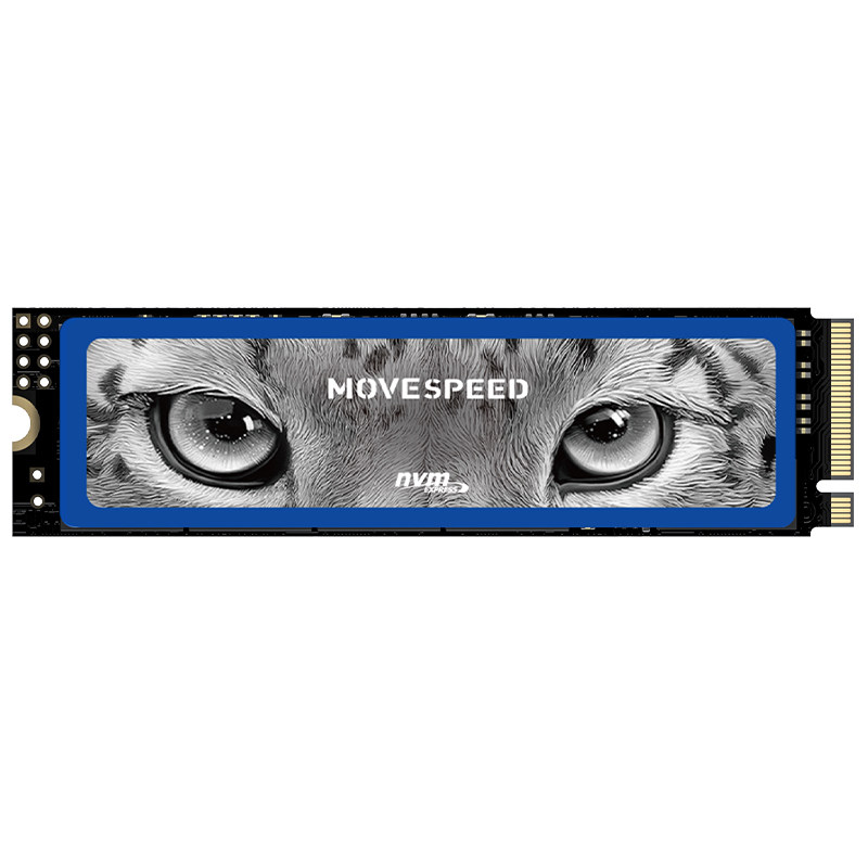 Speed-Moving SSD 1T 2T with M.2 Interface NVMe Protocol PCIe3.0