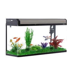 Fish Tank/Aquarium
