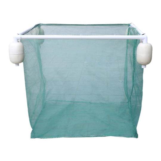 Net Cage Fish Box Aquaculture Fish Storage Fishing Isolated Temporary ...