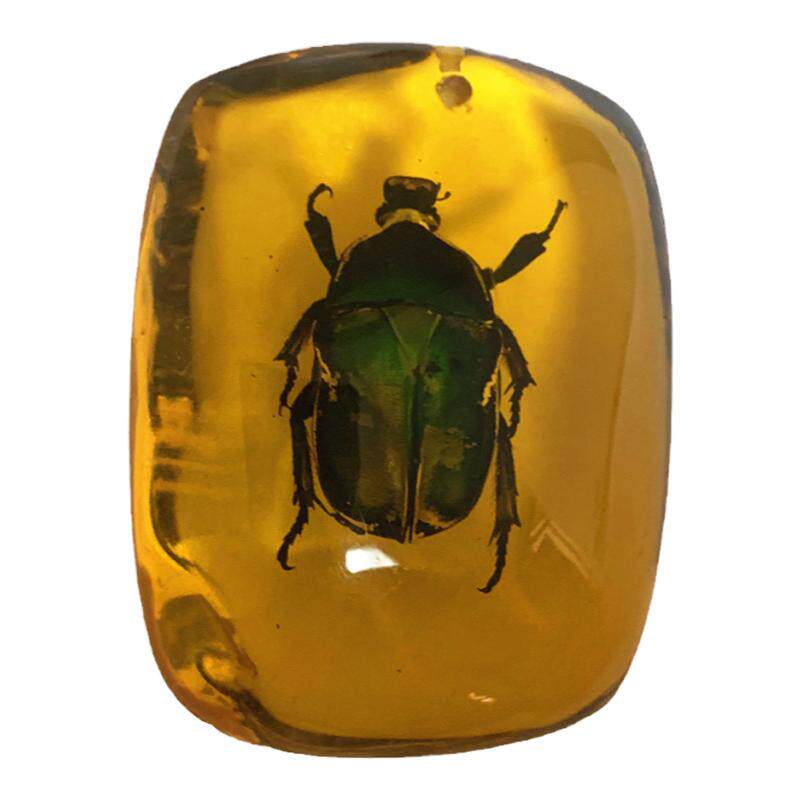 Real Insect Specimen Jewelry: Scorpion Necklace, Butterfly Pendant ...