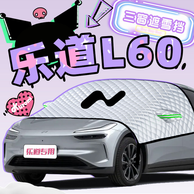 Ledao L60 special snow cover, anti-frost, anti-freeze and anti-snow car ...