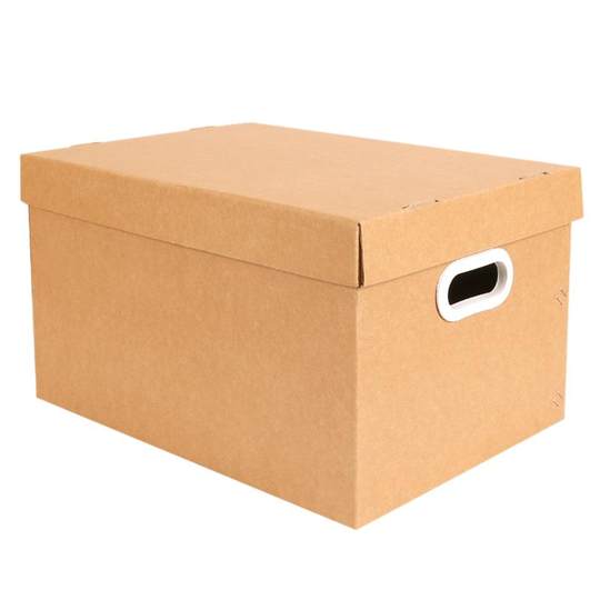 Storage Box with Lid Book Carton File Archive Kraft Paper Box Storage ...