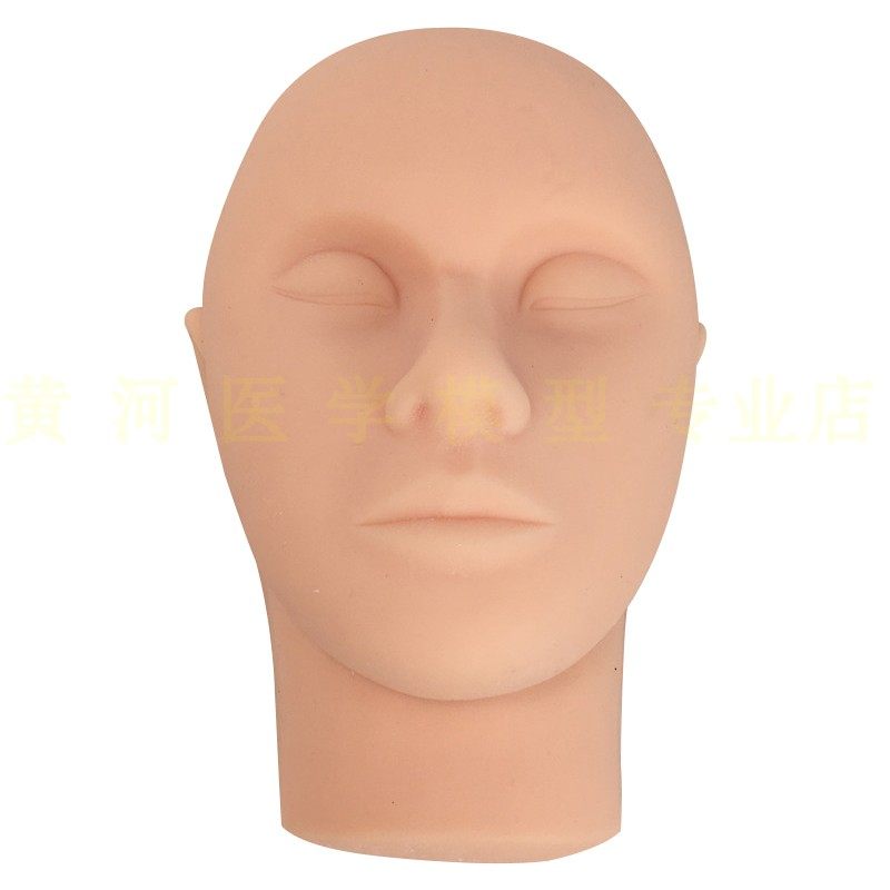 Simulation Software Head Model Beauty - Micro-Plastic Training Props ...