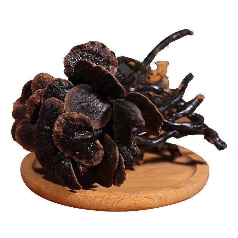 Yunnan Wild Bamboo Ganoderma Lucidum