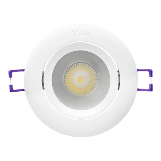 Bull Spotlight for Living Room, Home, TV Wall, Entrance, Corridor ...