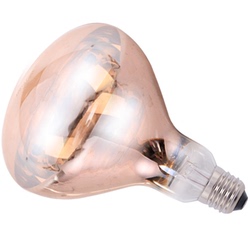 Bathroom Heater Lamp