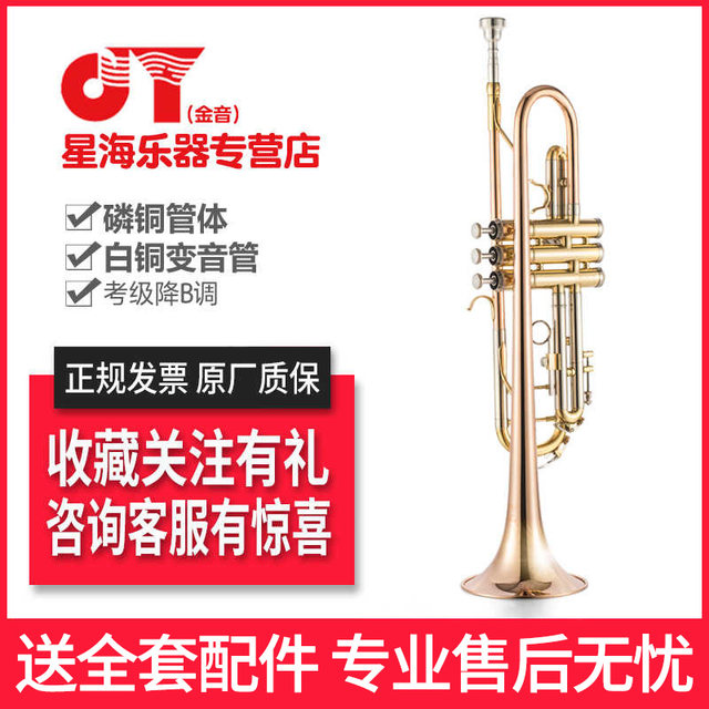 Jinyin trumpet instrument, professional performance level for adults ...